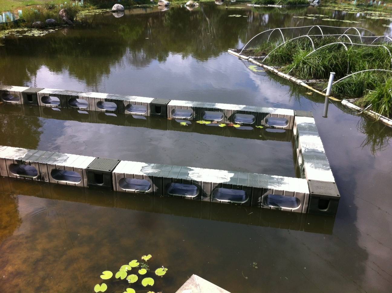 Floating ReedBeds Designers, Manufacturers | Superior Jetties